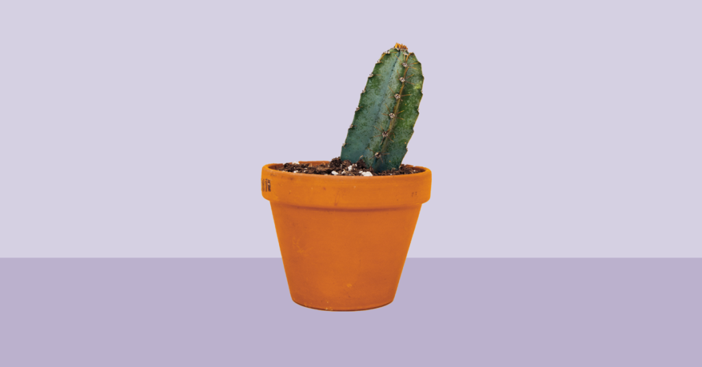 Erectile Dysfunction(ED) Medicines: Where To Buy | AndSons SG